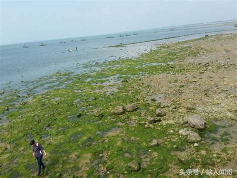 湛江徐聞中國大陸最南端國家級珊瑚礁保護區 每日頭條