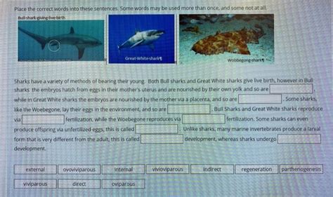 Solved Examine The Life Cycle Of The Green Algae Ulva