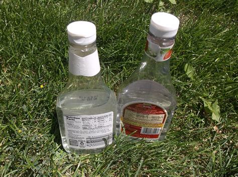 Reuse Condiment Bottles For A Hot Day ThriftyFun