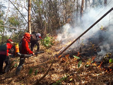 วั ศูนย์ศึกษาการพัฒนาห้วยฮ่องไคร้อันเนื่องมาจากพระราชดำริ