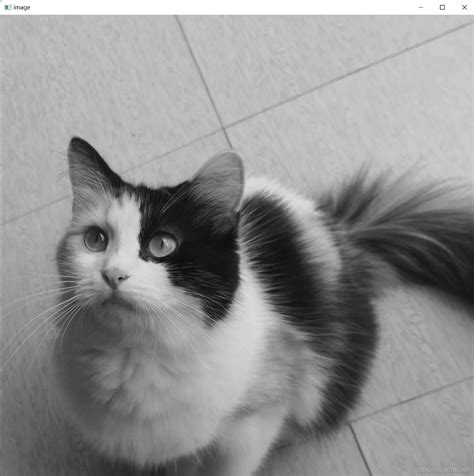 opencv Python环境入门操作 opencv配置pycharm CSDN博客