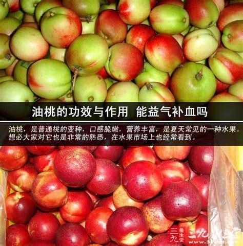 油桃补铁吗 水蜜桃补铁吗 水果补铁之王 第10页 大山谷图库
