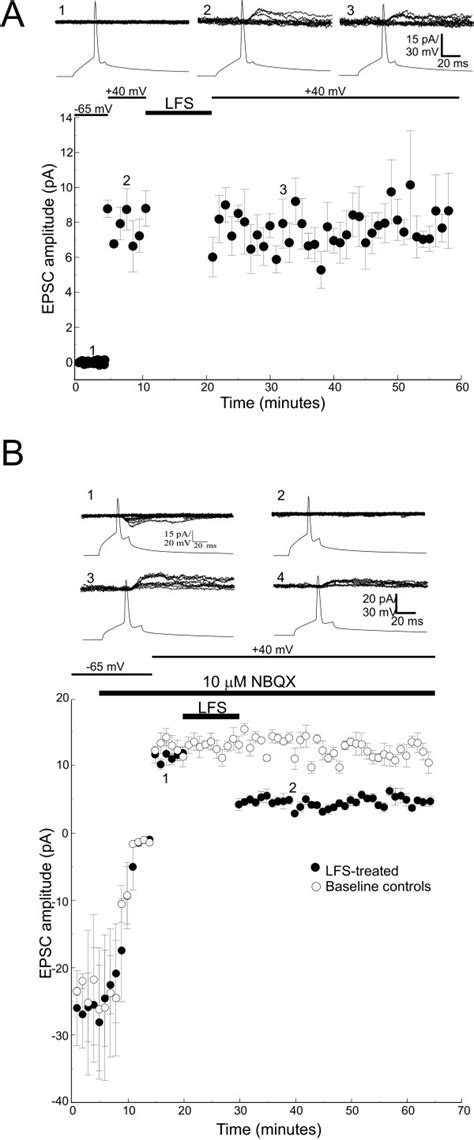 NMDAR Mediated Responses Are Not Depressed By Low Frequency Stimulation