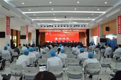 新密市中医院签约河南省洛阳正骨医院建立紧密型骨科专科联盟健康资讯河南商报网