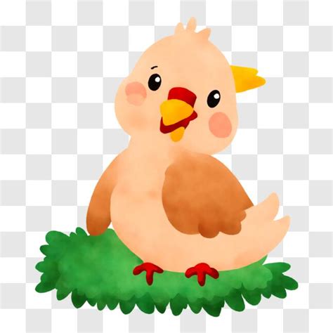Baixe Galinha De Desenho Animado Sentada Na Grama PNGs Creative Fabrica
