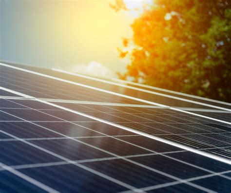 Could Solar Farms Contribute To Food Security By Boosting Pollinator