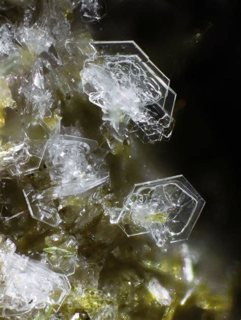 Tridymite Encyclopedia