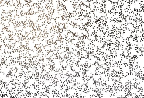 Light Black Vector Texture With Disks 3246480 Vector Art At Vecteezy