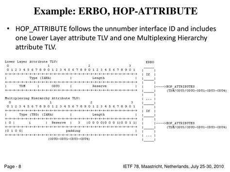 PPT RSVP TE Extension For Multi Stages Multiplexing Configuration In G Network PowerPoint