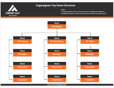 Free Organogram Top Down Structure Templates Docx Free Word Templates