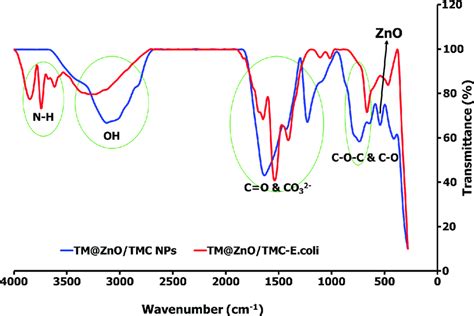 Ftir Spectral Comparison Of Tmznotmc Nc Hydrogel Before And After