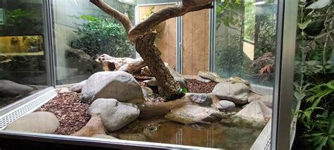 Burmese Python Habitat Zoochat