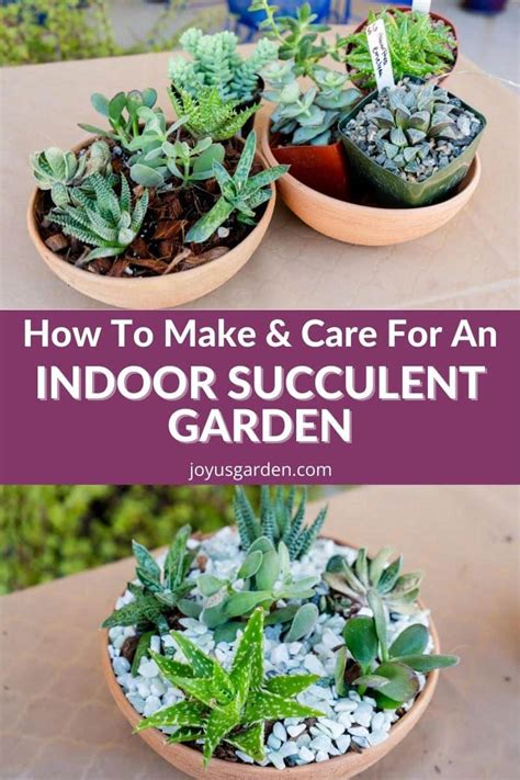 How To Make An Indoor Succulent Garden Joy Us Garden