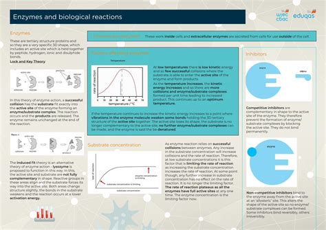 Pdf Enzymes And Biological Reactions Dokumentips