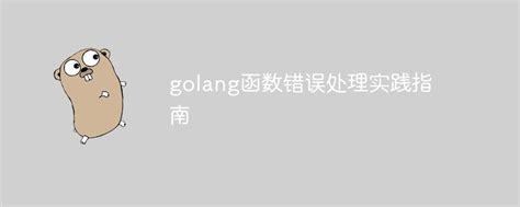 golang function error handling practice guide golang php cn