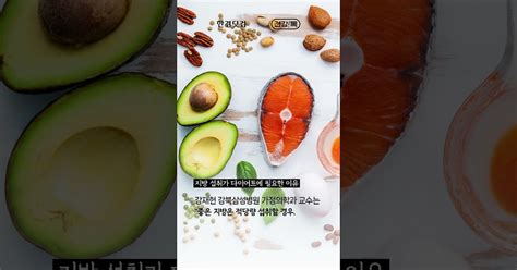 다이어트 방해꾼 아니었어지방 먹어야 살 빠진다 건강톡