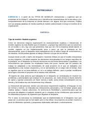 ENTREGABLE1 Docx ENTREGABLE I EJERCICIO 1 A Partir De Los TIPOS DE