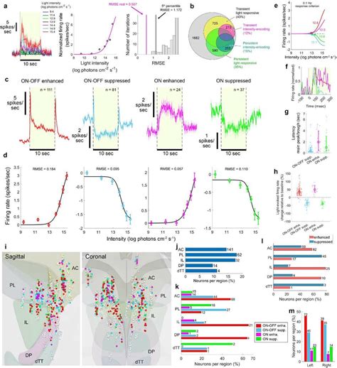 Four Types Of Light Intensity Dependent Persistent Response In The Mpfc