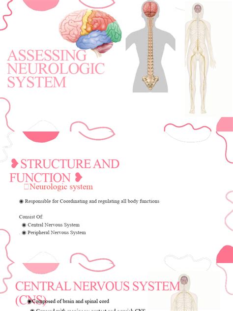 Assessing Neurologic System 20240723 195021 0000 Pdf Central Nervous System Nervous System