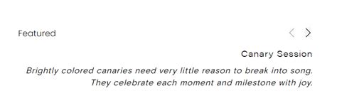Why Are The Arrows From My Summary Carousel Gone Pages Content