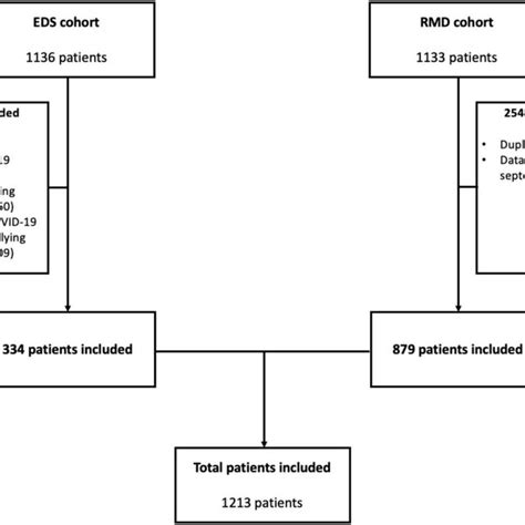 Flow Chart Of Patient Inclusion Eds Entrepôt Des Données De Santé