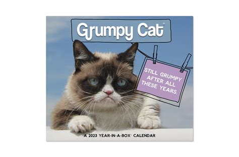 Grumpy Cat Weekend