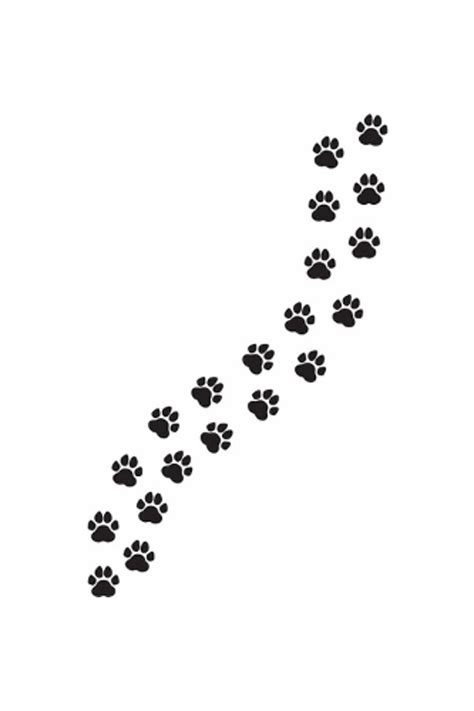 Следы кошки Zefirka Club фото и картинки