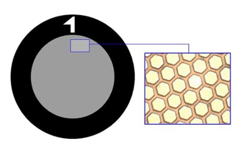 Gilder Grids High Mesh Values