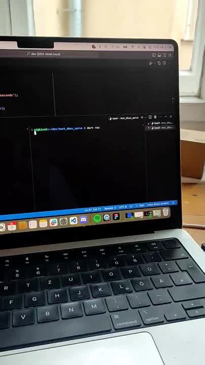 payam zahedi on linkedin raspberrypi flutter diy