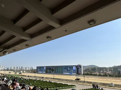 과천경마장 렛츠런파크 렛츠런파크 서울 아이랑 경마장 경마장 초보 정보 경마 하는법초보자 과천경마장 주차정보 네이버 블로그