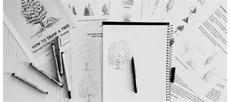 PRACTICE BOOK How To Draw A Tree
