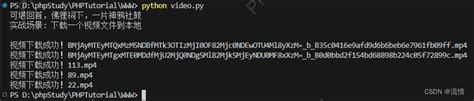 python通过url爬取视频资源到本地 csdn博客