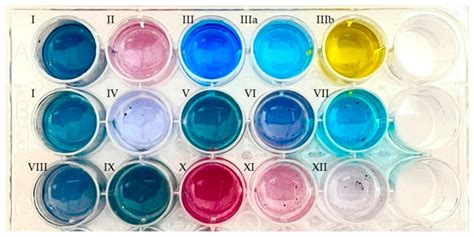 Discovery Of New Phenylacetone Monooxygenase Variants For The Development Of Substituted