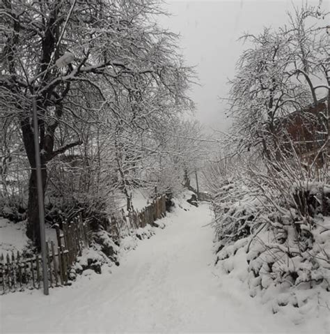 თოვლი შუახევში ფოტო • თოვლი ფოტო • Batumelebi Ge