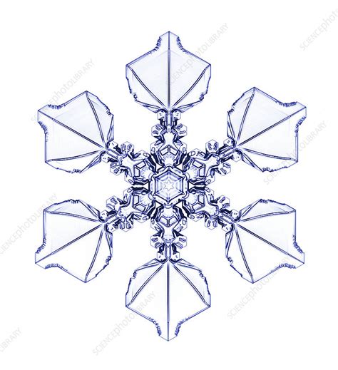 Snowflake Light Micrograph Stock Image C025 5892 Science Photo