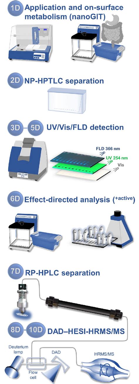 Schematic Workflow Of The Straightforward 10d Hyphenated Download