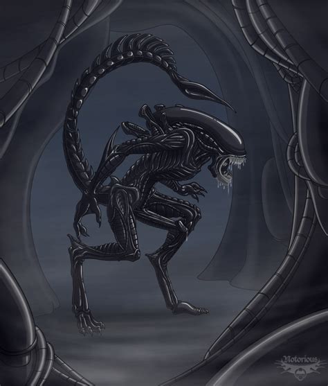 Commission For Xenolugia150 Xenomorph By Notorious Hentai Foundry