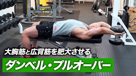 【筋トレ】ダンベル・プルオーバーの正しいやり方 大胸筋と広背筋を肥大させる種目【ビーレジェンド プロテイン】 Youtube