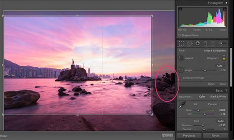 Cropping In Photography Tips And Techniques For Beginners