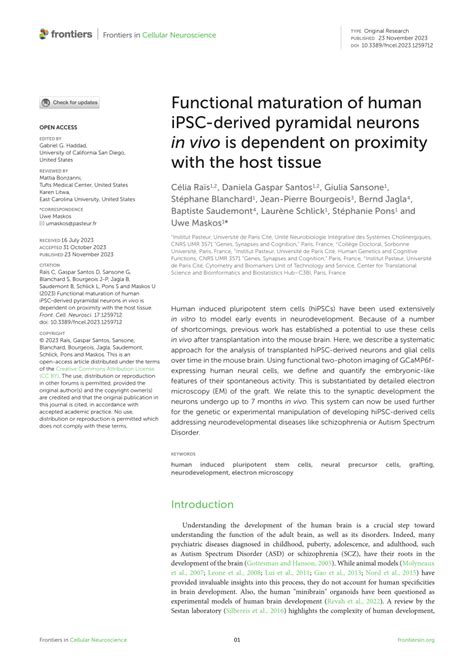 Pdf Functional Maturation Of Human Ipsc Derived Pyramidal Neurons In