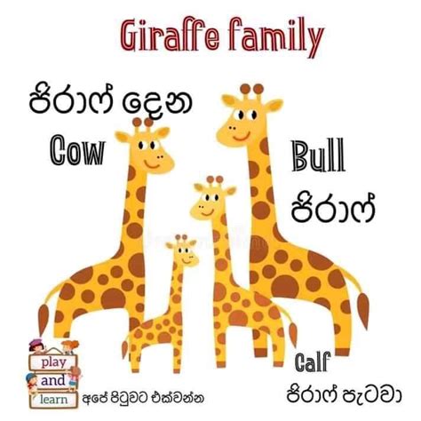 දැනුම් සයුර 😍 සතුන්ගෙ ලොකයෙ දරුවන්ට පැටලෙන නම් Facebook