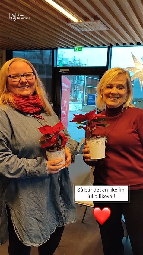 Stresser Du Før Julaften Vil Du Ha Det Helt Perfekt 🎄 Husk At Du Er