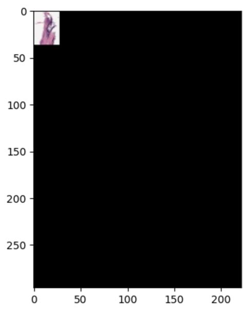 Image Resolution Wrongly Read In Tiffwsireader · Issue 452 · Tissueimageanalytics Tiatoolbox