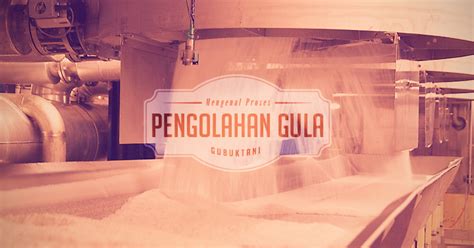 Gubuk Tani Mengenal Proses Pengolahan Gula