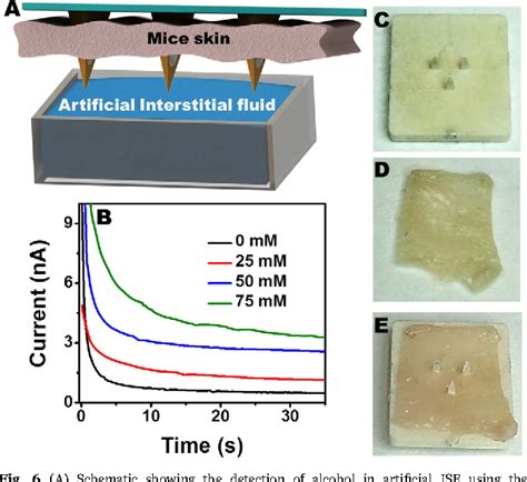 Figure 1 From Continuous Minimally Invasive Alcohol Monitoring Using