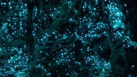 Le Anne Ackerman Posted On Linkedin