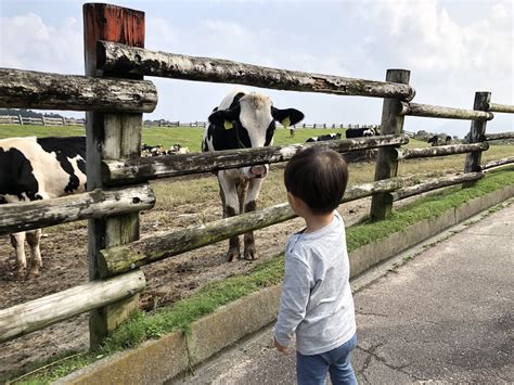 福岡県内の子ども連れにおすすめな屋外おでかけスポット3つ！