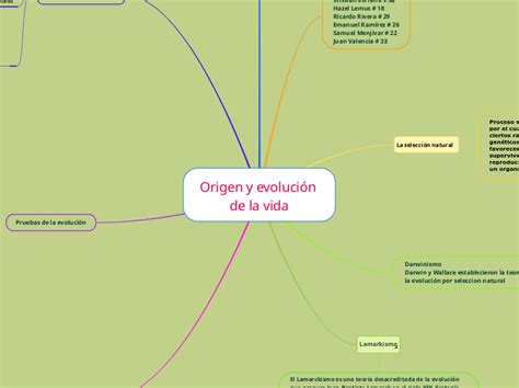 Origen Y Evolución De La Vida Mind Map