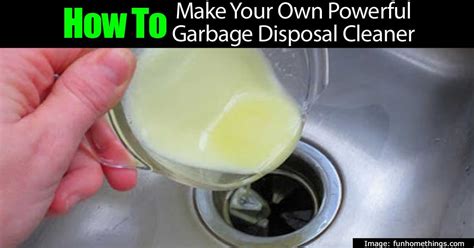 Powerful Diy Garbage Disposal Cleaner