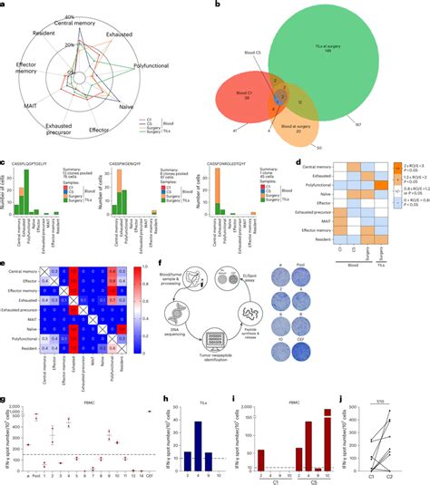 Analysis Of In Situ Tumor Specific Cd8 Response In Responders A Radar